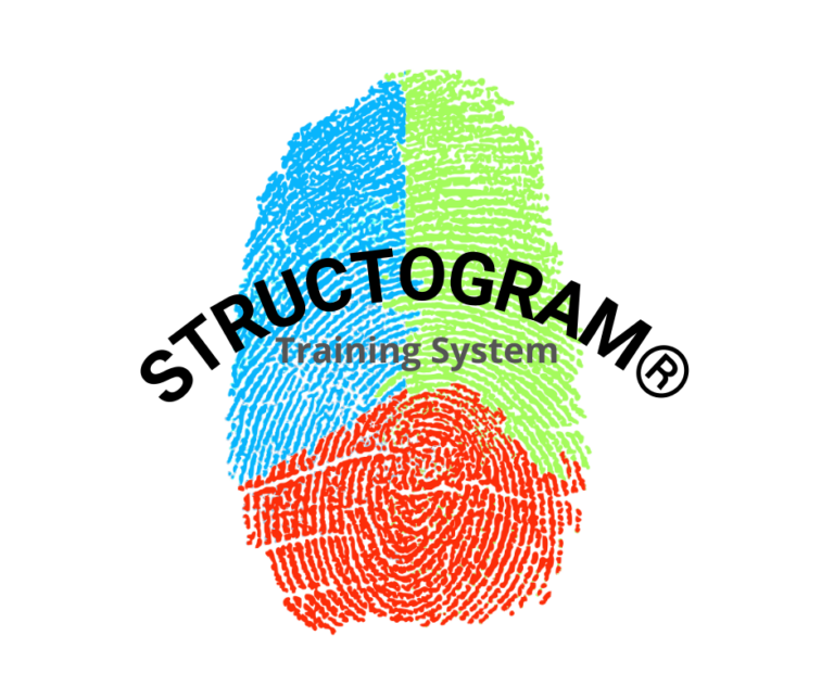 Structogram | Warsztatownia Efekt Motyla